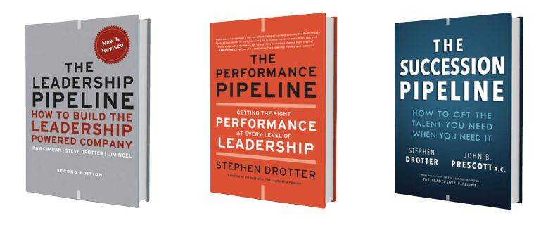 Cooperation with the Leadership Pipeline Institute - Change Partners